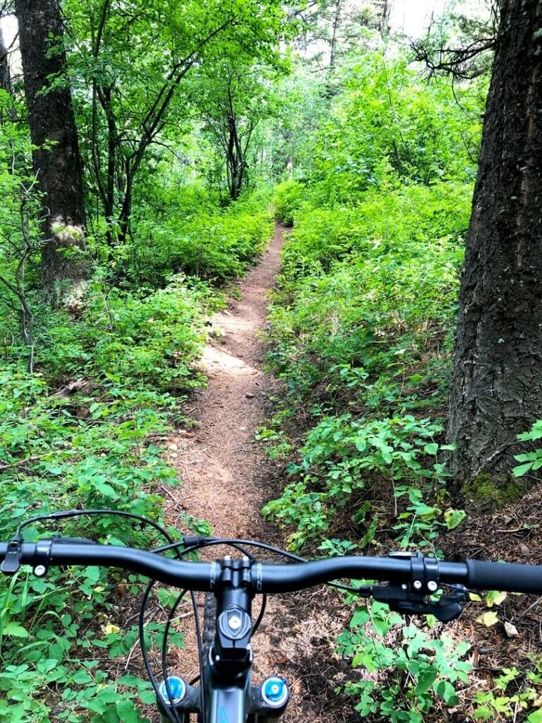 Take the Single-Track Less Traveled - Best Mountain Biking Towns