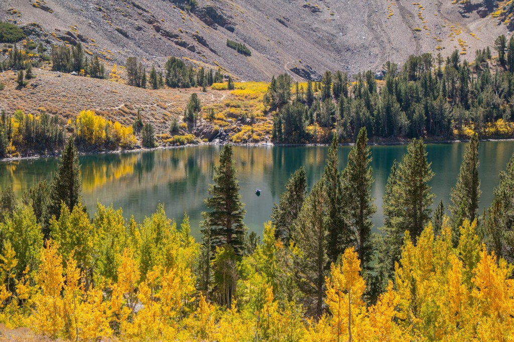 Fall In Love With June Lake Fall Colors - What, Where, When, & Why
