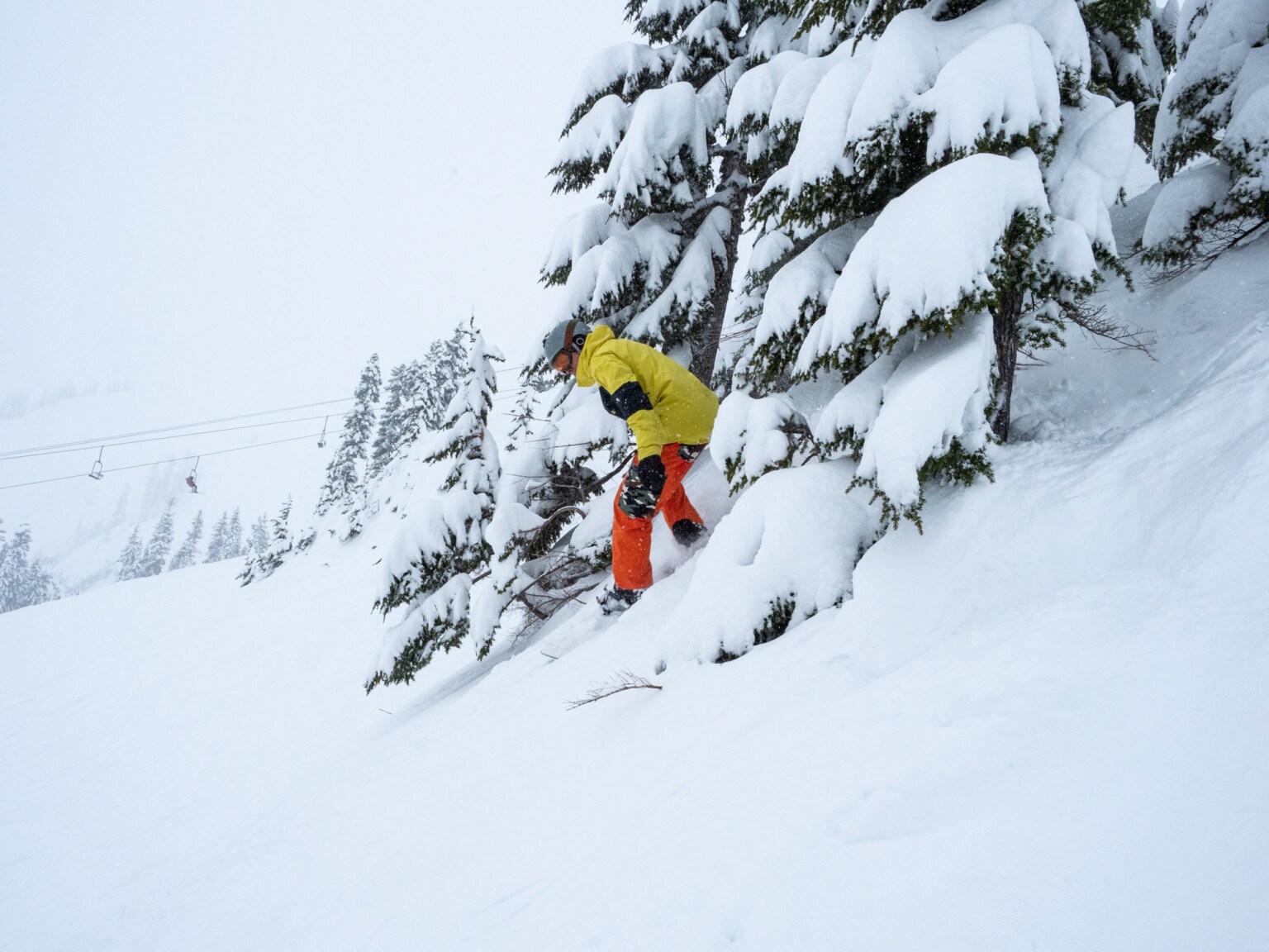 Tree Well Death Compels Us To Talk About Tree Well Safety