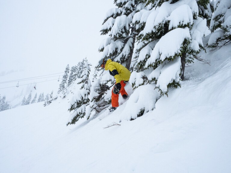 Tree Well Death Compels Us To Talk About Tree Well Safety