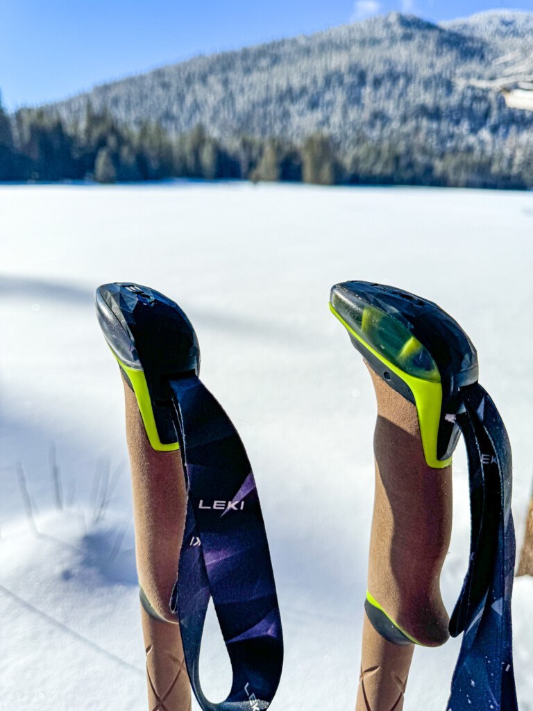 Leki Sherpa Poles – My New Favorite Splitboard Poles